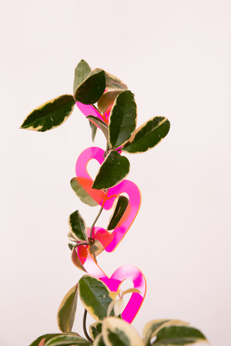 Plant Stake - Hearts – tiny deer studio