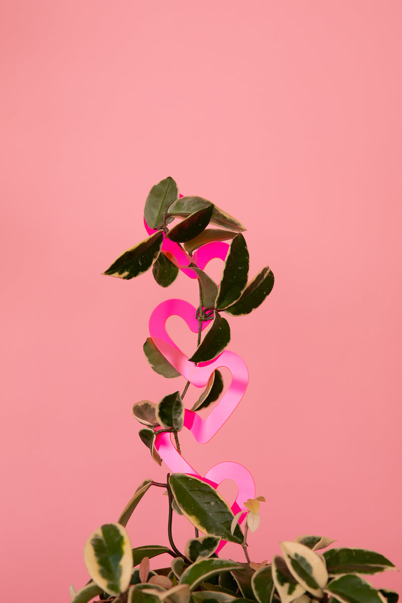 Plant Stake - Hearts – tiny deer studio